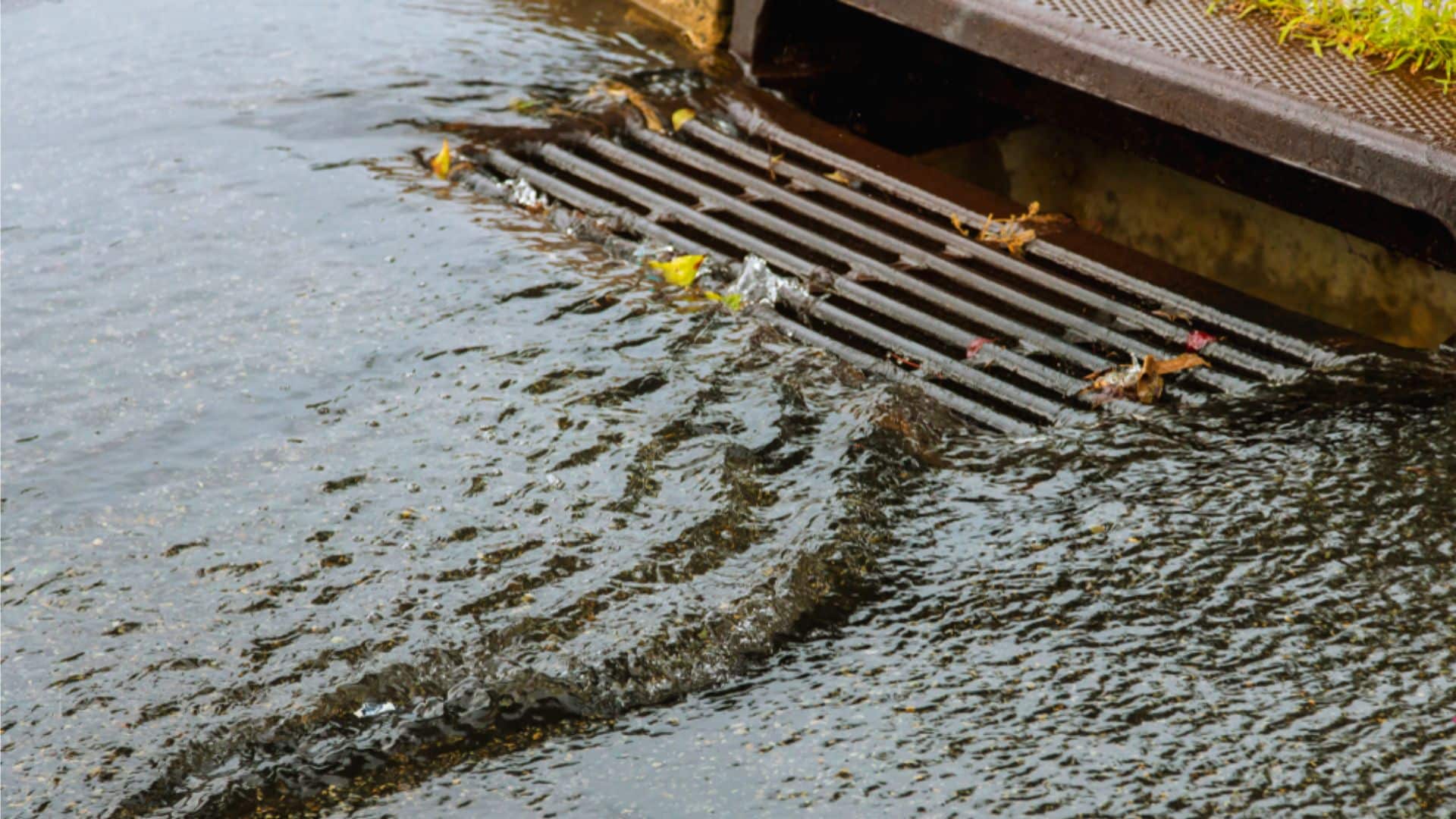Blocked Stormwater Drains Fixed by Capital Plumbing